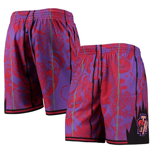 Men's Mitchell & Ness Purple Toronto Raptors Hardwood Classics Lunar ...