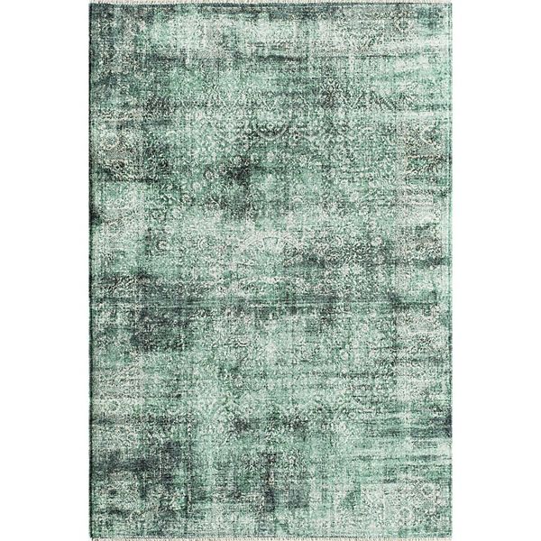 Rugs America Iggi Vintage Transitional Rug