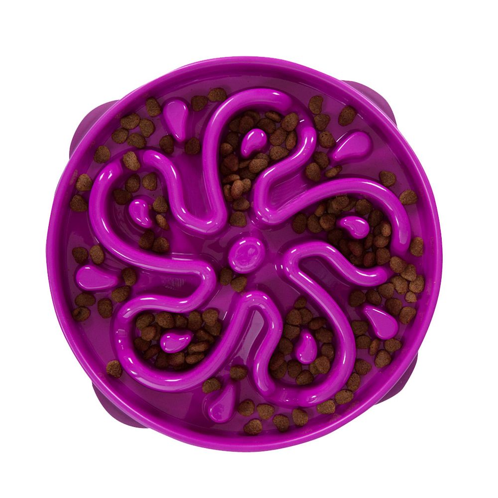 Outward Hound Fun Feeder Flower Slo Bowl