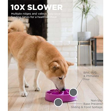 Outward Hound Fun Feeder Flower Slo Bowl Mini
