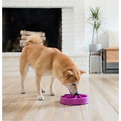 Outward Hound Fun Feeder Flower Slo Bowl Mini