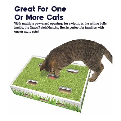 Outward Hound Grass Patch Hunting Box