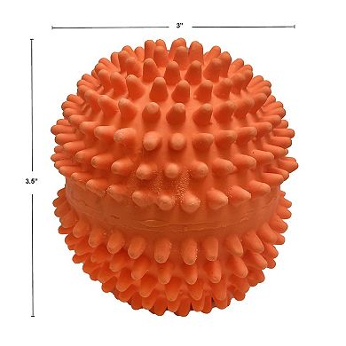 Animal Planet Latex Spike Ball Toy