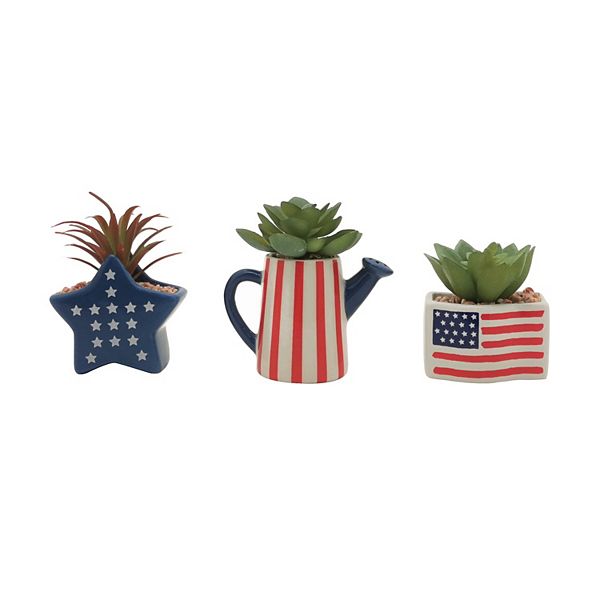Celebrate Together™ Americana Succulent Table Decor