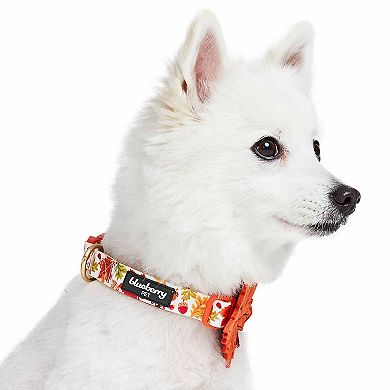 Blueberry Pet Fall Maple Dog Collar
