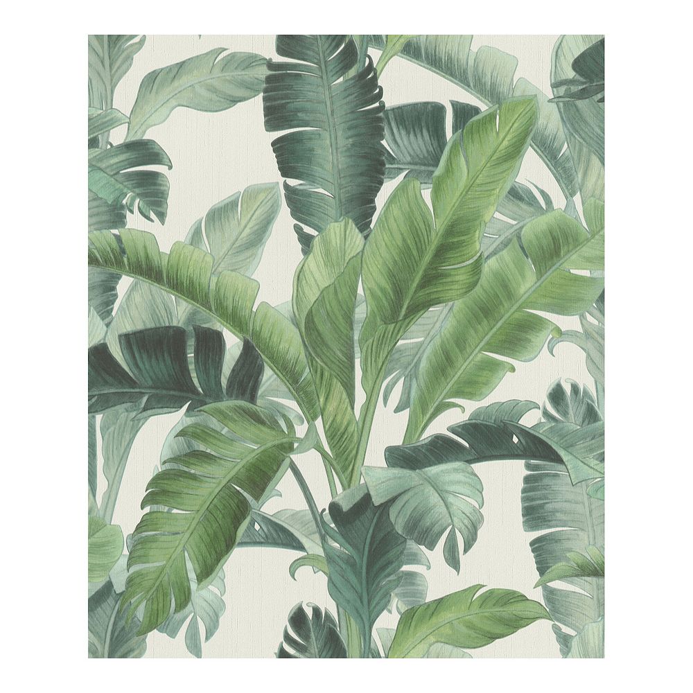 Brewster Home Fashions Orissa Palm Frond Wallpaper