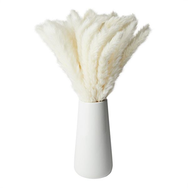 White Natural Dried Pampas Grass with Ceramic Vase, 40 Bundles (16 Inches) White Natural Dried Pampas Grass with Ceramic Vase, 40 Bundles (16 Inches)
