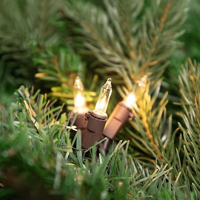 Mini Clear Lights Brown Wire
