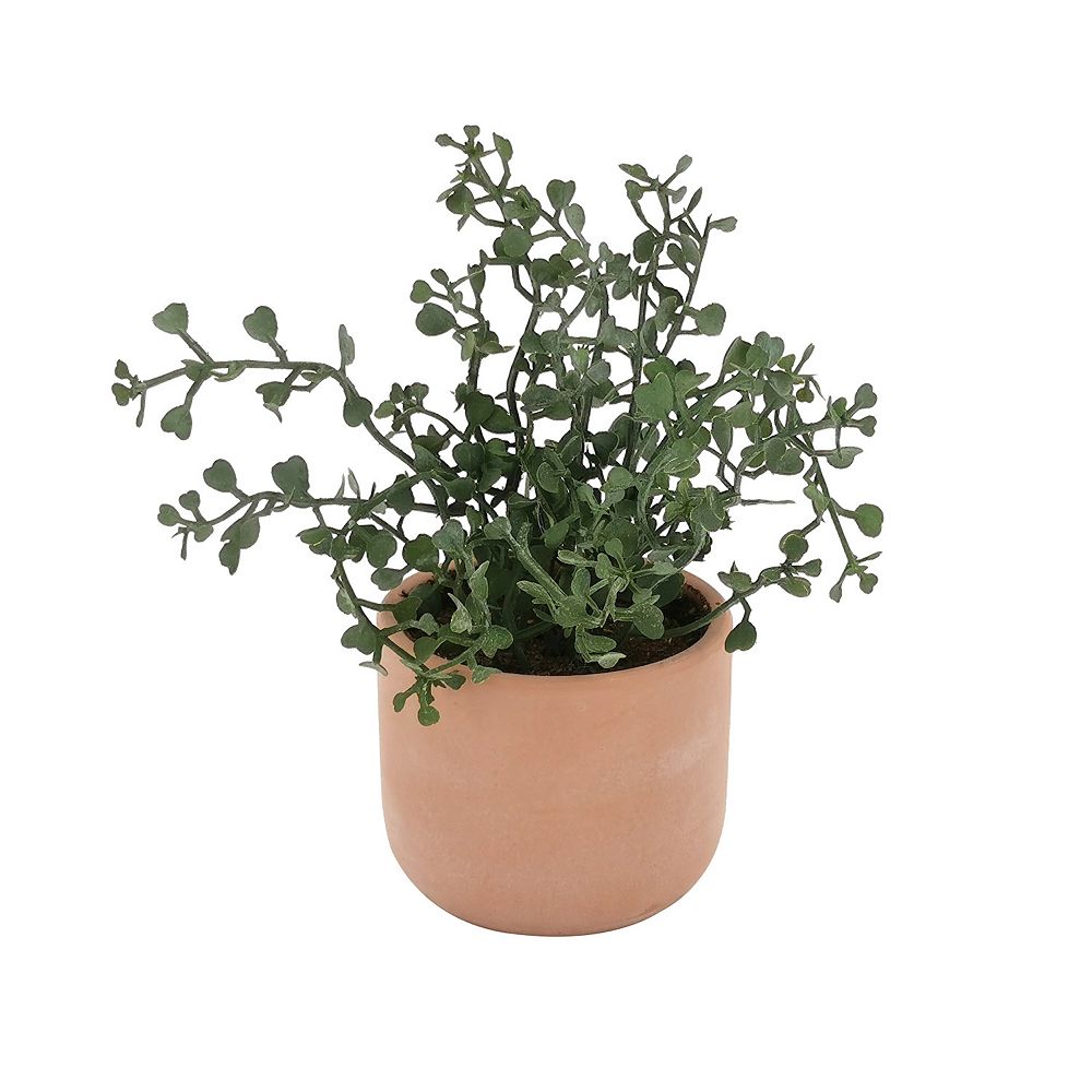Sonoma Goods For Life® Artificial Mini Greenery Table Decor