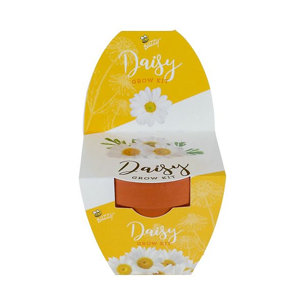 Buzzy Seeds 7Cm Terra Cotta Grow Kit-Daisy