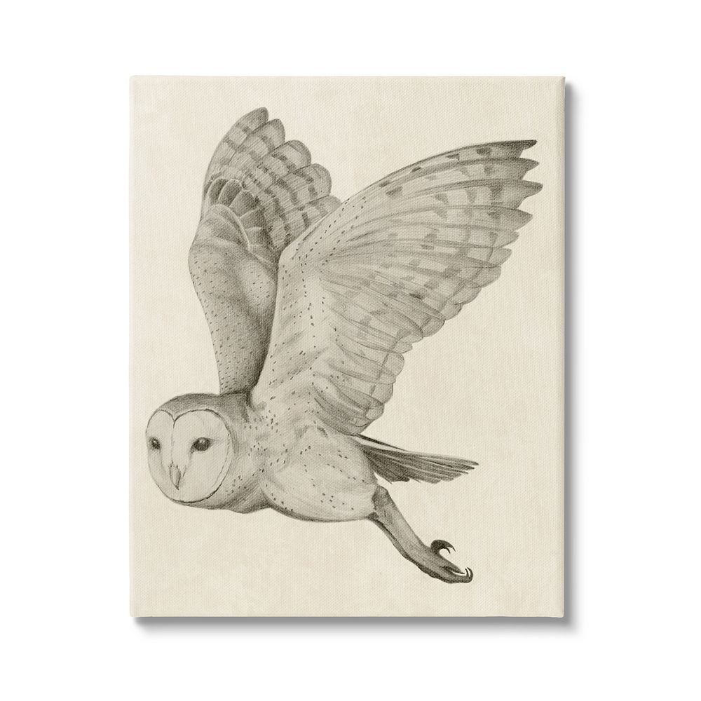 Stupell Home Decor Vintage Barn Owl Canvas Wall Art