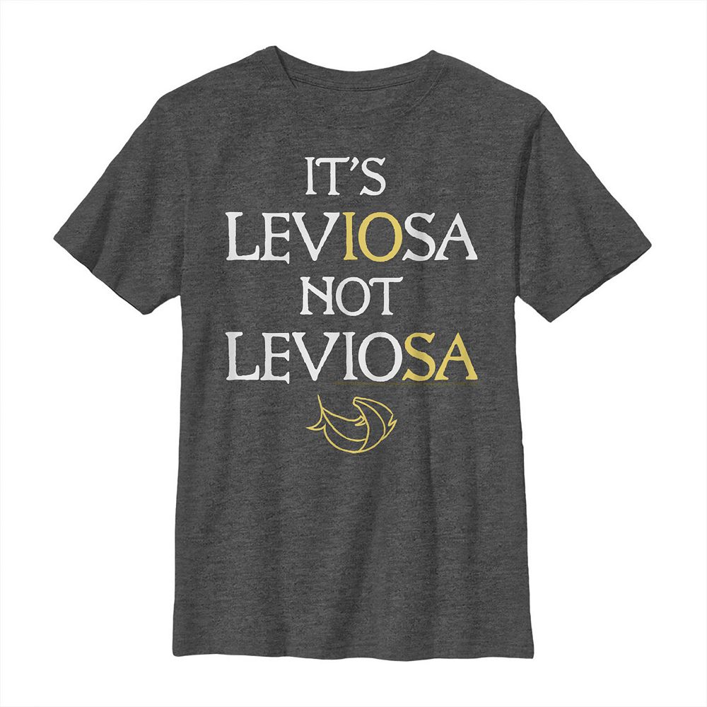 Boys 8-20 Harry Potter It's LevIOsa Not LevioSA Graphic Tee