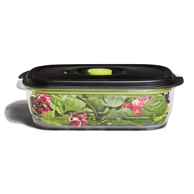 Foodsaver Containers Plain Ultimate Food Saver Container Set At