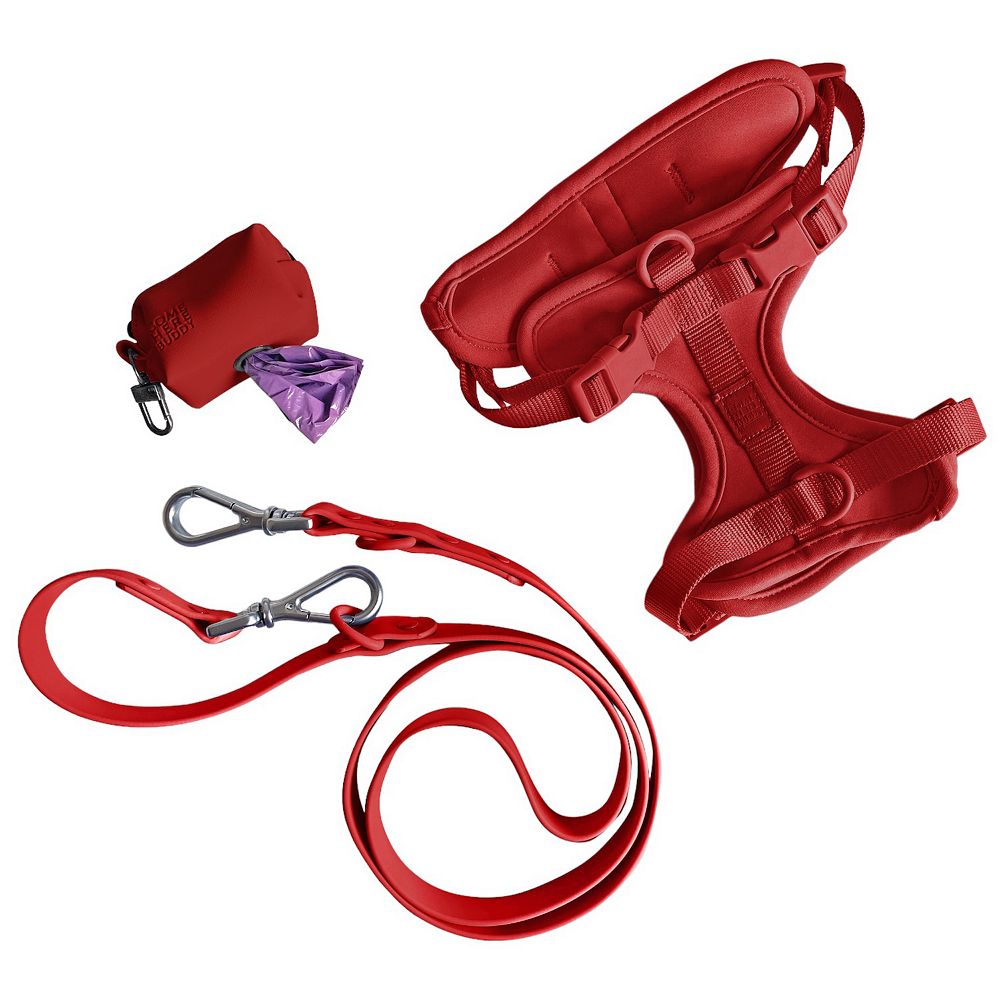 Everyday Red Dog Harness Set