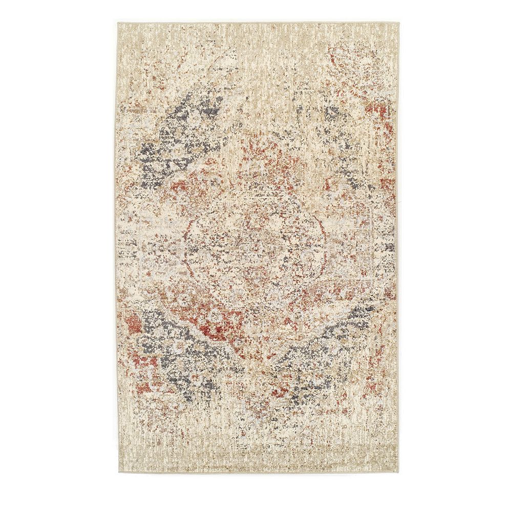 SUPERIOR Ombre Distressed Indoor Area Rug