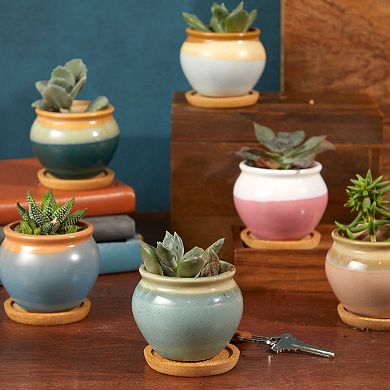 Small Ceramic Pots for Plants and Succulents with Wooden Drainage Tray ...