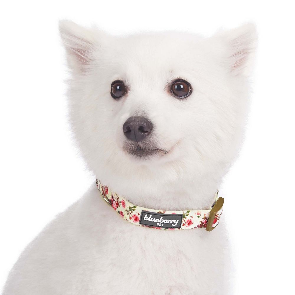 Blueberry Pet Spring Floral Ivory Dog Collar