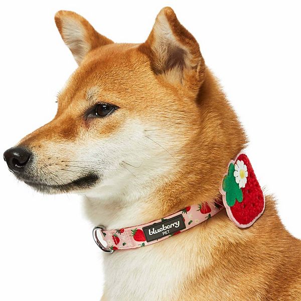 Blueberry Pet Zesty Fruit Dog Collar