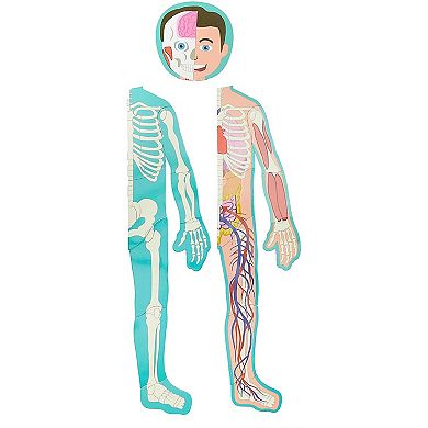Magnetic Human Body Puzzle for Kids, Double Sided (3 ft, 17 Pieces)