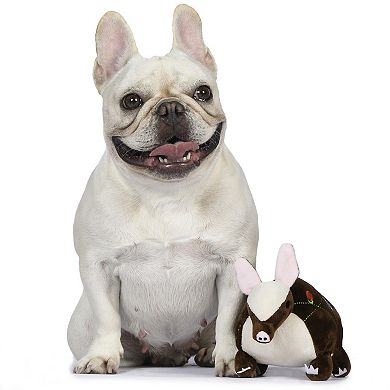 Friends Holiday Armadillo Plush Dog Toy