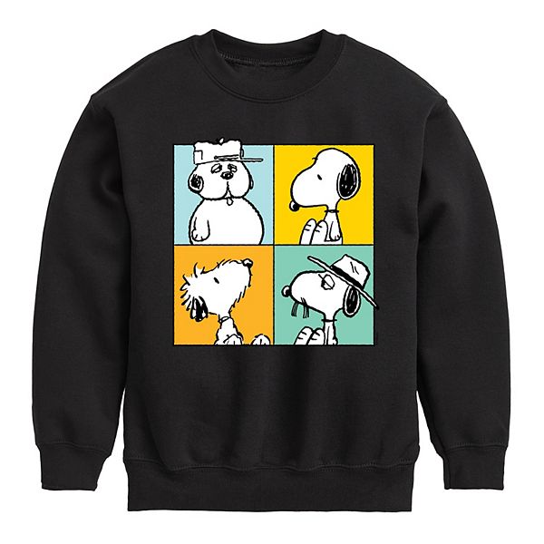 Boys 8-20 Peanuts Snoopy Sibling Graphic Fleece