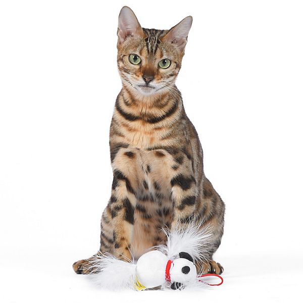 Peanuts Snoopy Catnip Plush Cat Toy