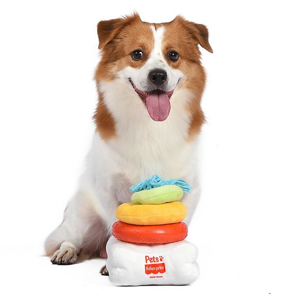 Fisher-Price Attack-A-Stack Chase & Toss Dog Toy