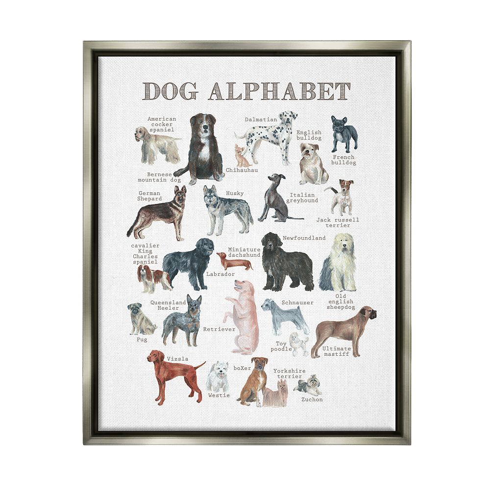 Stupell Home Decor Dog Alphabet Breeds Floating Frame Wall Art