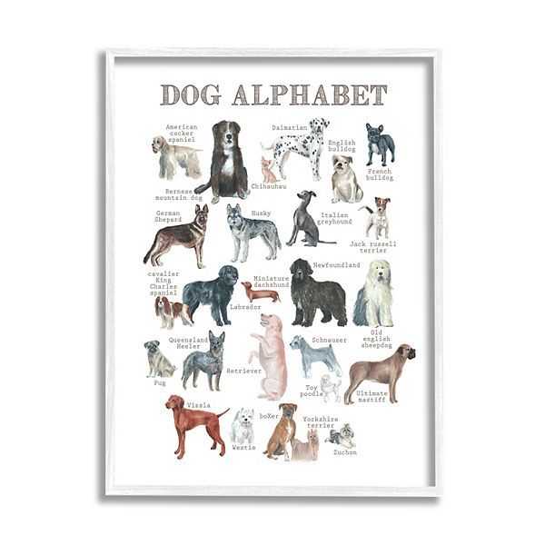 Stupell Home Decor Dog Alphabet Multiple Breeds Framed Wall Art