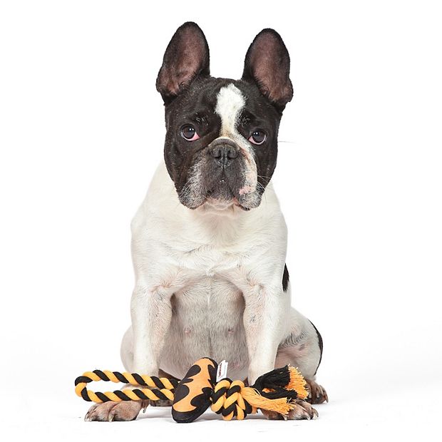 Batman Dog Toy