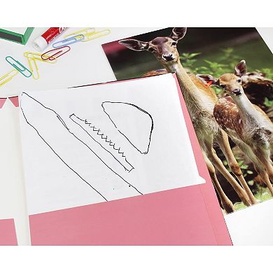 Wild Animal File Folders with Pockets, School Supplies (9.5 x 12 In, 12 ...