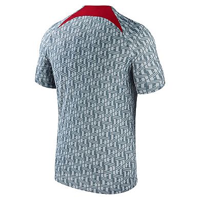 Men's Nike Gray Liverpool 2023 Pre-Match Performance Top