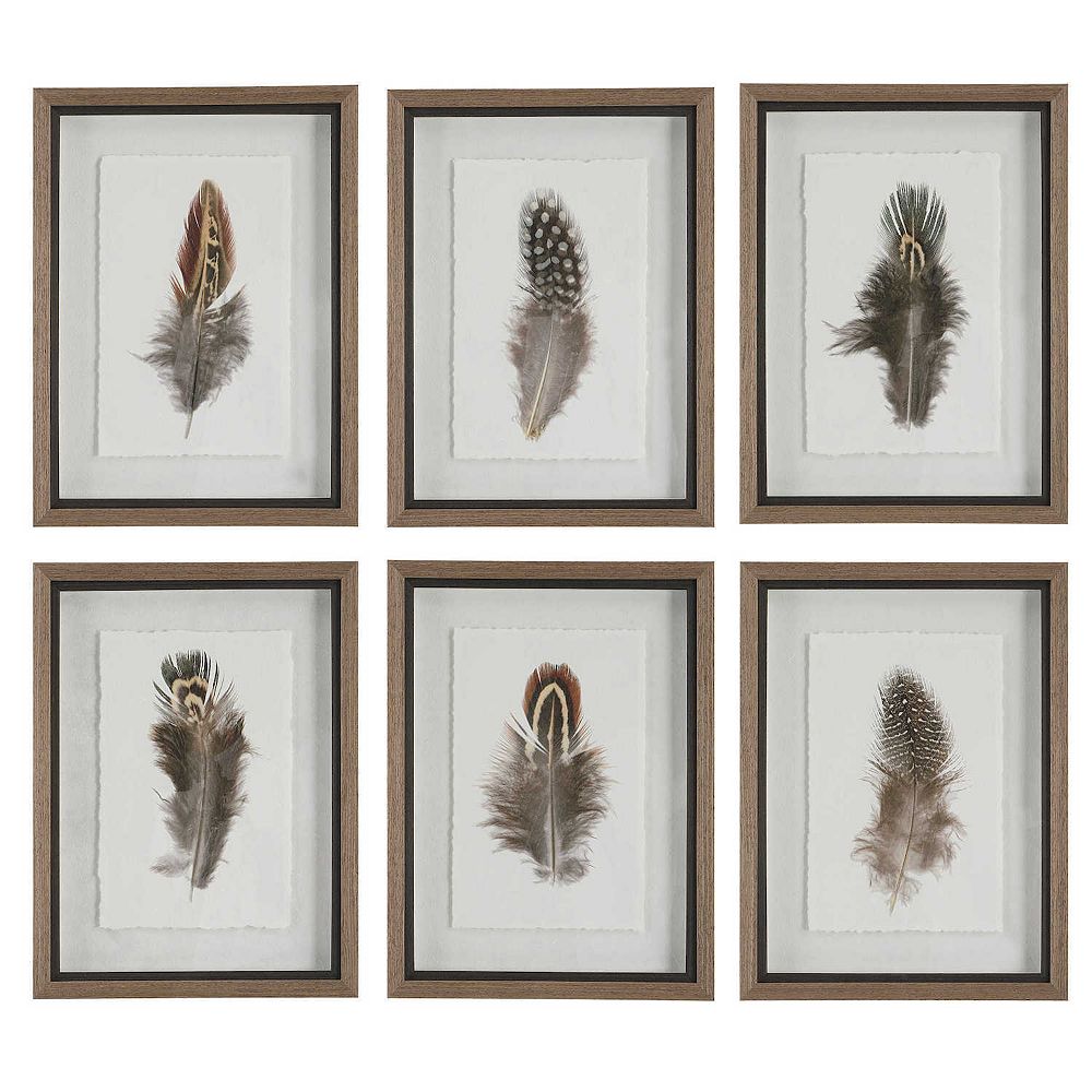 Birds Of A Feather Framed Prints 6-Piece Set