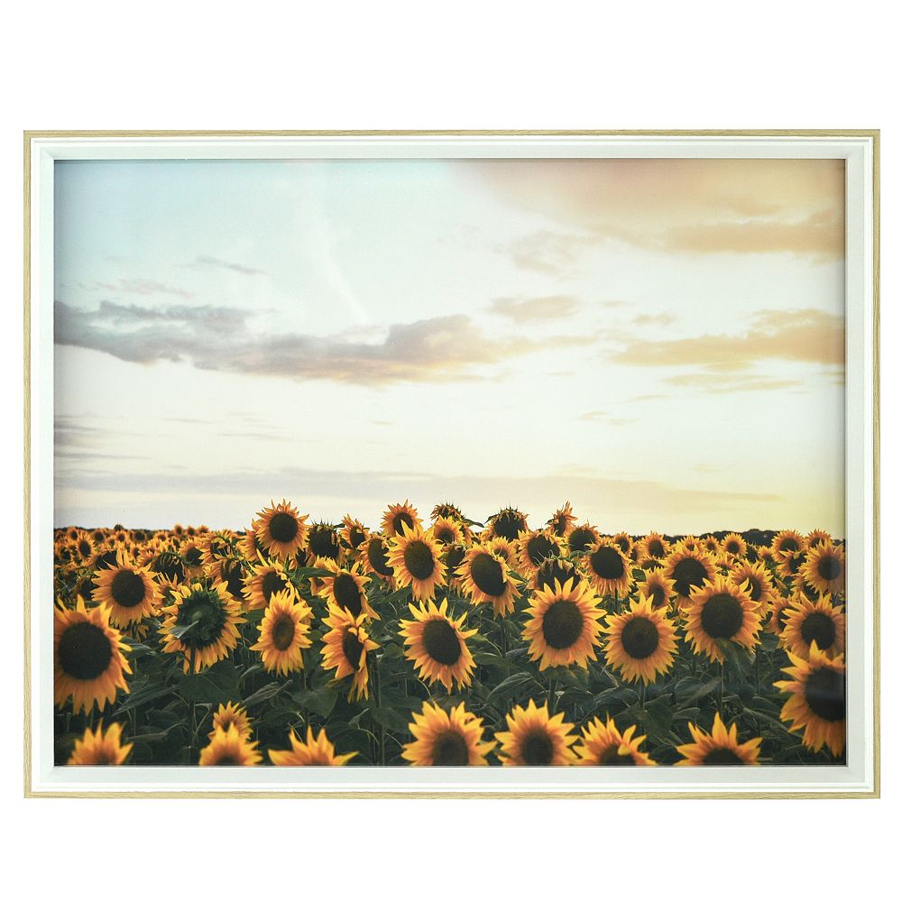 Sheffield Home 14 x 18 Sunflower Art Under Glass