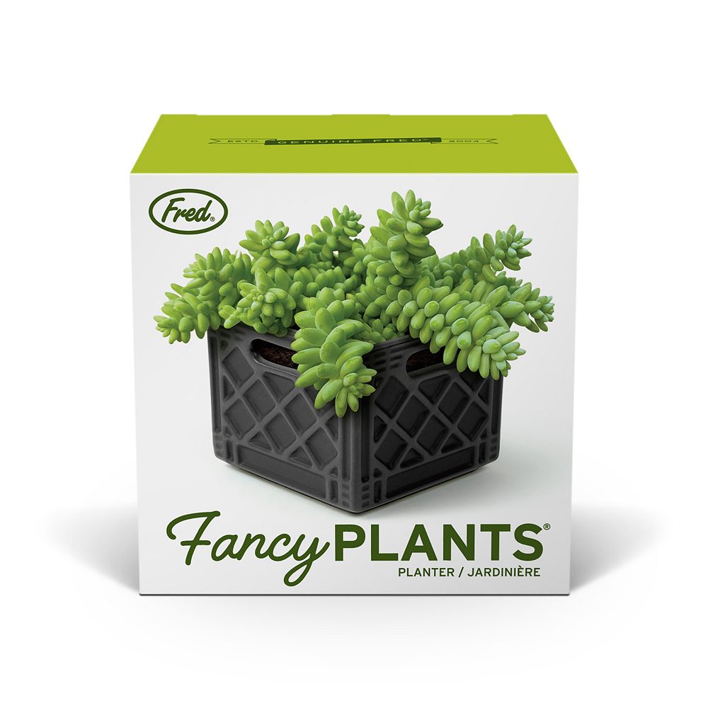 Fred Fancy Plants Planter