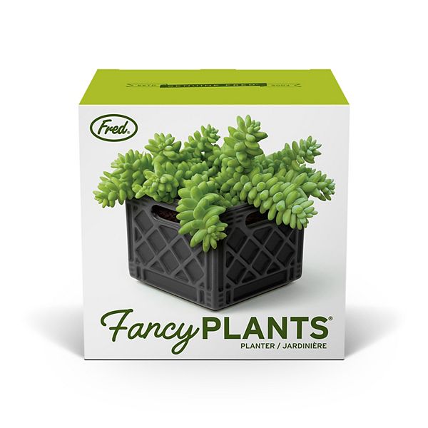 Fred Fancy Plants Planter Fred Fancy Plants Planter