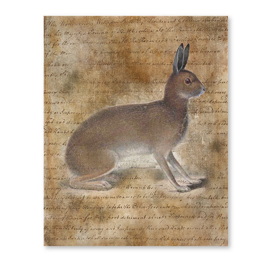COURTSIDE MARKET Vintage Rabbit VI Canvas Wall Art