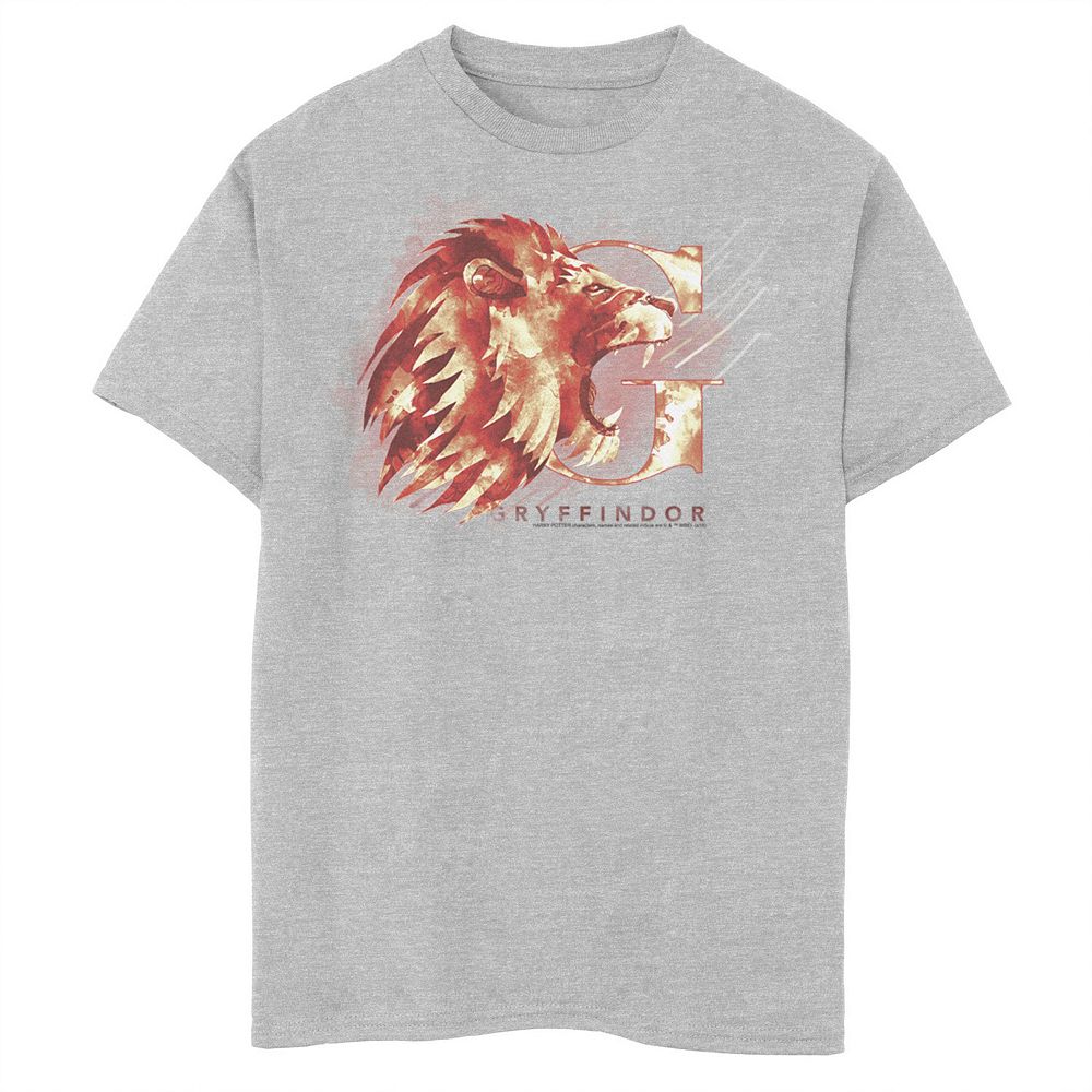 Boys 8-20 Harry Potter Gryffindor House Watercolor Husky Tee