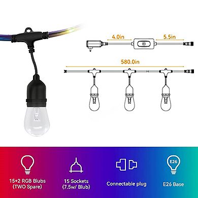 Defong 48 Foot Outdoor Dimmable RGB LED String Lights 15 Twinkle Bulbs