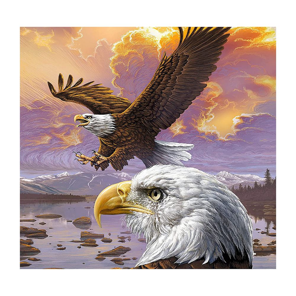 Eagle Fleece Blanket For Bed, Queen Size Flying Eagle Fleece Throw