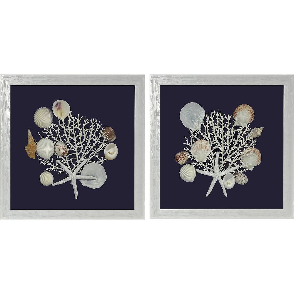 Seashell Shadowboxes Wall Decor 2-piece Set