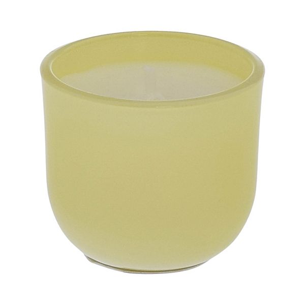 Sonoma Goods For Life® Blue Citron 1.8-oz. Candle Jar