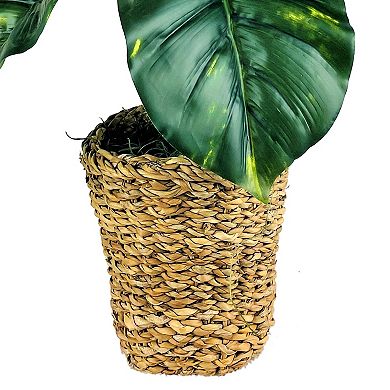 30" Faux Pothos in Braided Rope Basket