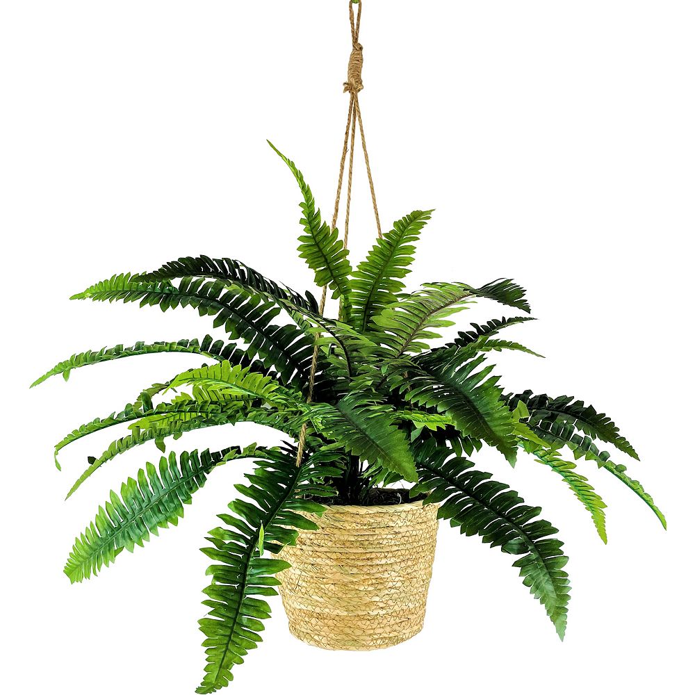 36" Hanging Faux Fern in Rope Basket