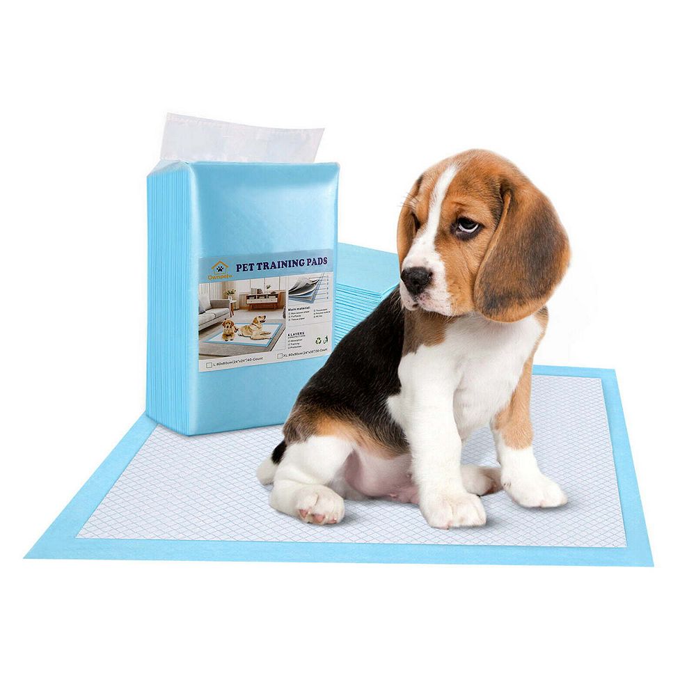 Pet Dog Training Pads Pee Mats Quick Dry
