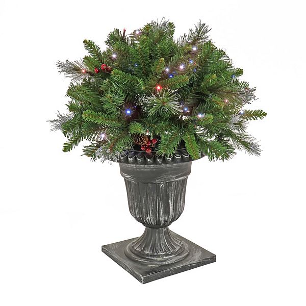 National Tree Company 24-in. Artificial Spruce Porch Bush in Silver ...