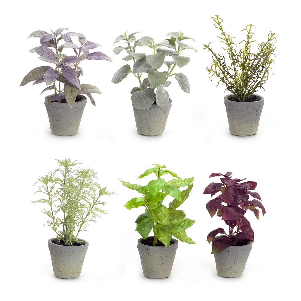 Melrose Potted Artificial Herb Table Decor 6-pc. Set