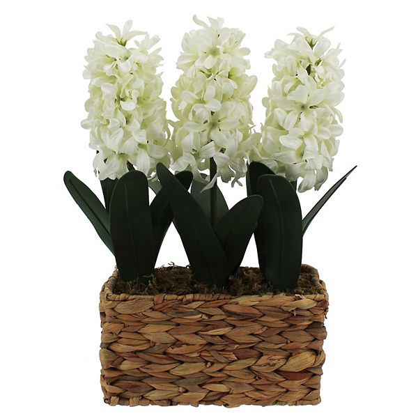Sonoma Goods For Life® Artificial Hyacinth Bulb Trio Floral Arrangement ...