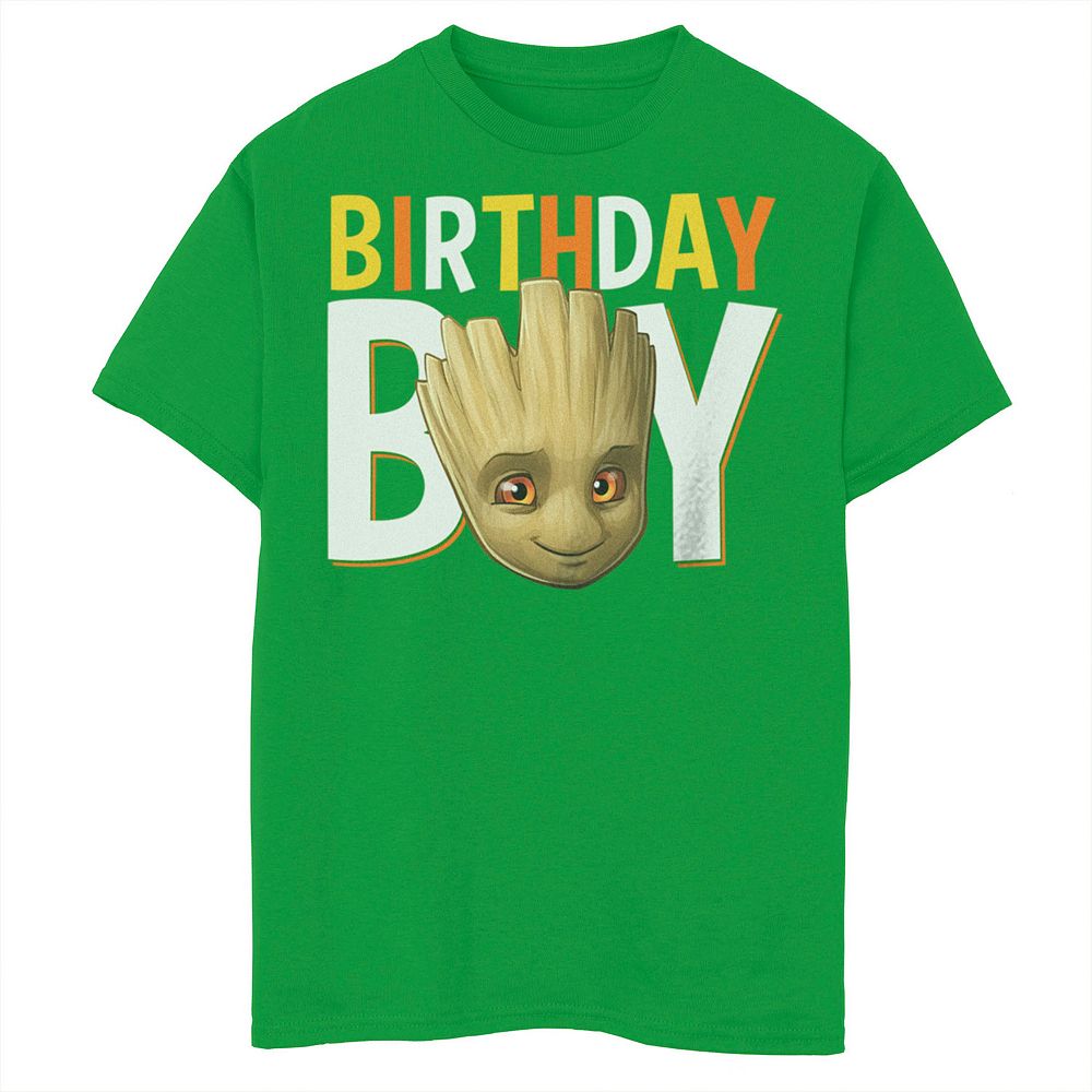 Boys 8-20 Marvel Guardians Of The Galaxy Groot Birthday Boy Graphic Tee