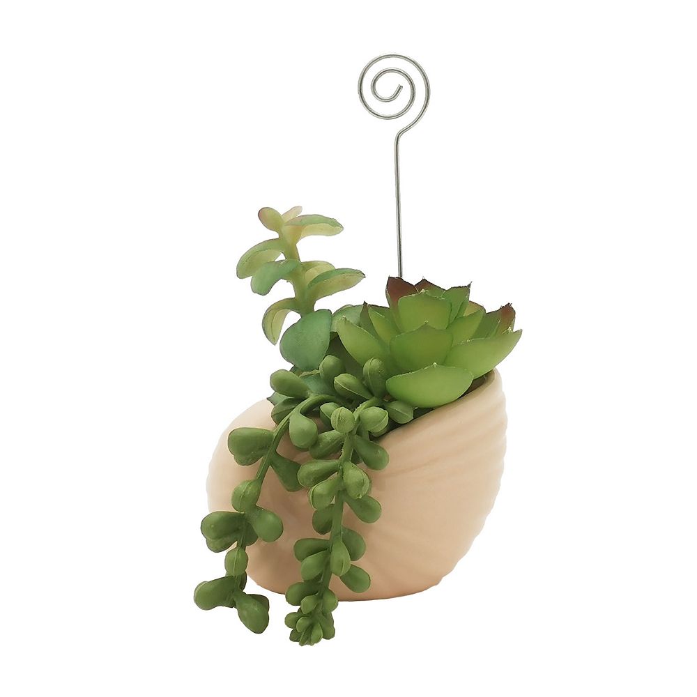 Sonoma Goods For Life® Shell Botanical Photo Clip